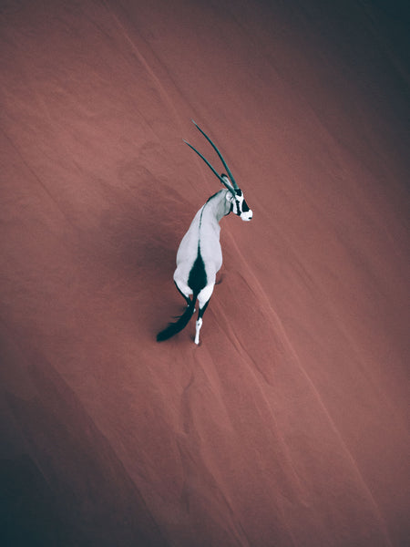 The Oryx - Amazing Photography From Above - Airpixels Print & Fine Art ...