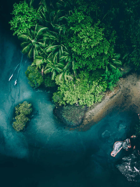 The Jungle - Exclusive Art From Above - Airpixels Print & Fine Arts ...
